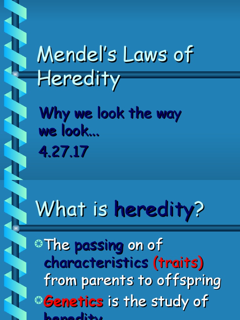 Mendel's Heredity Laws Explained | PDF