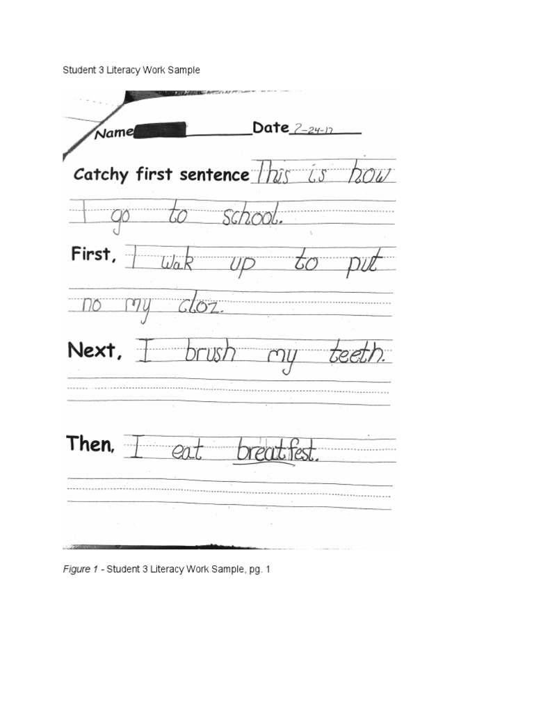 Student 3 Literacy Work Sample 3 | PDF
