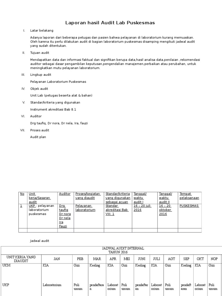 Laporan Hasil Audit PKM | PDF