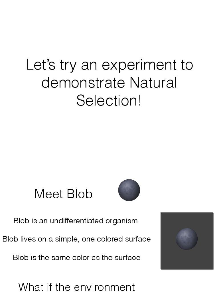 Natural Selection Experiment with Blob | PDF