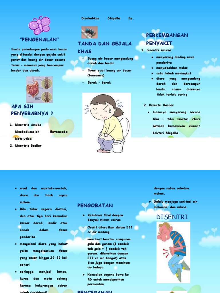 Leaflet Disentri | PDF