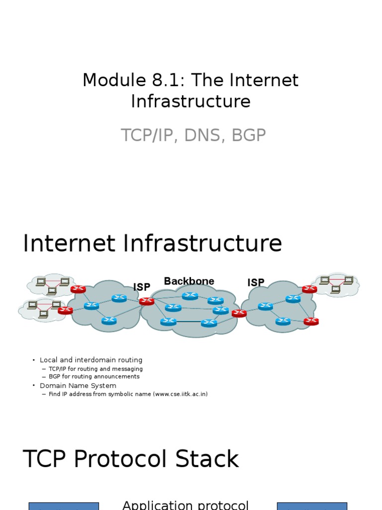 Module 8.1: The Internet Infrastructure: Tcp/Ip, DNS, BGP | PDF | Internet Protocols ...