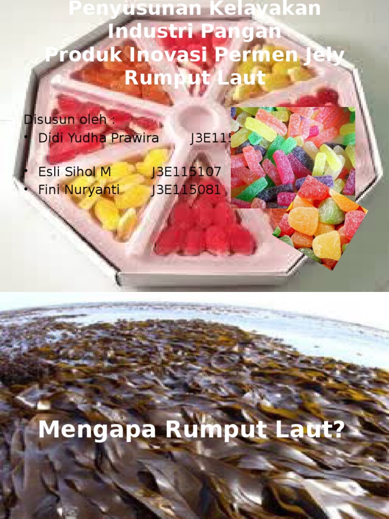 Permen Rumput Laut PPT Fix | PDF