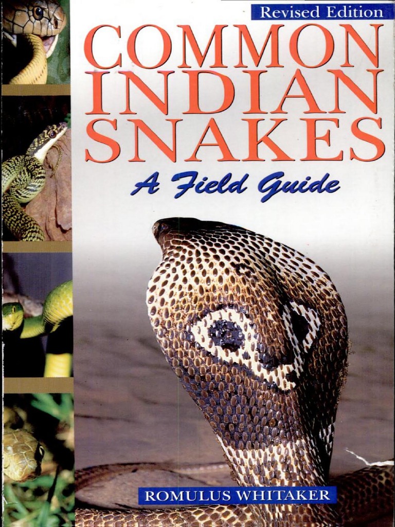 Common Indian Snakes | PDF