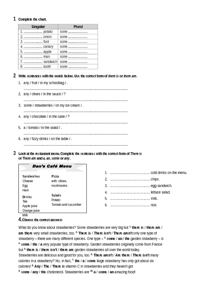 Grammar Exercises: Singular, Plural, and Sentences | PDF