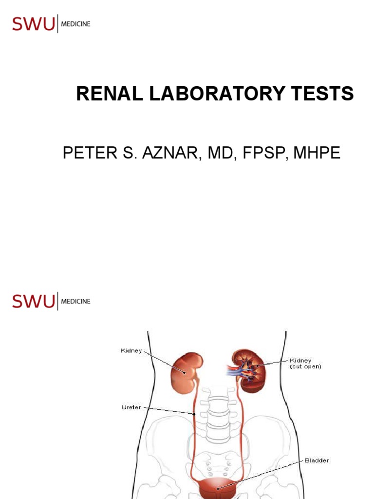Genpath 04 - RENAL LABORATORY TESTS - ppt.MEd 2016 (Ninaarajade's ...
