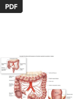 ICD-10 Codes for Crohn's and Colitis | PDF | Ulcerative Colitis | Crohn ...