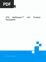 02 NetNumen U31 Software Installation - 54P | PDF | Operating System | Microsoft Windows