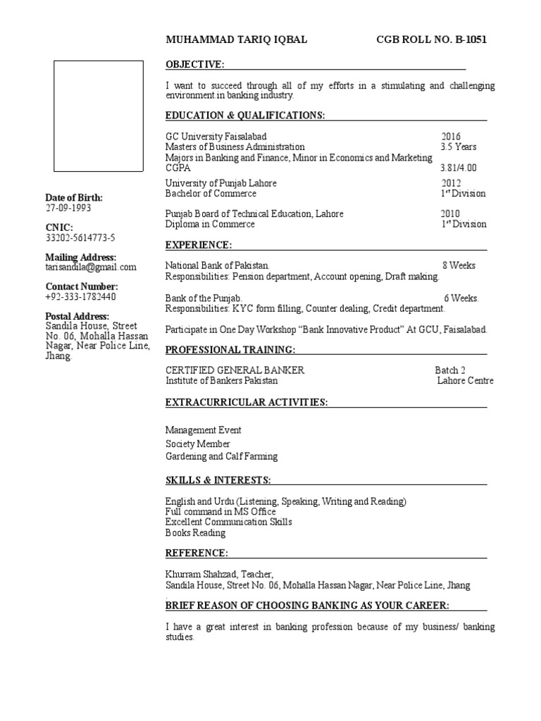 Tariq CV | Download Free PDF | Banks | Economies