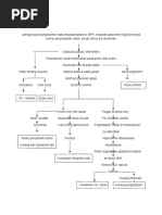 Pathway Apendisitis | PDF