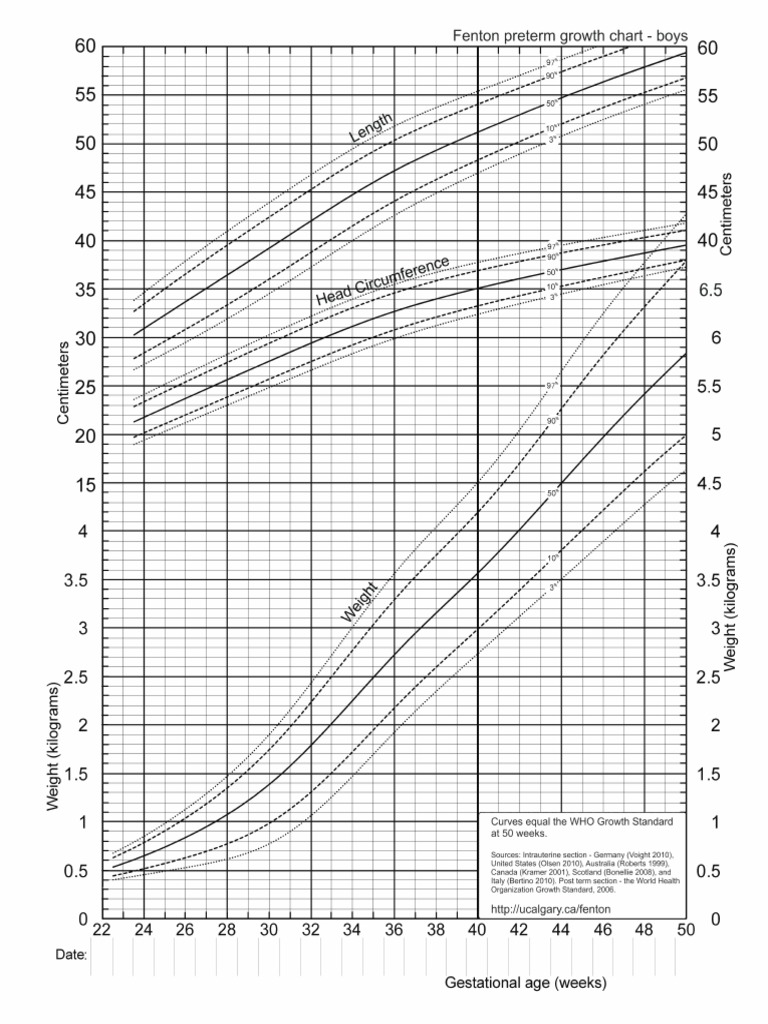 Fenton Growth Chart 2013 Boys | PDF