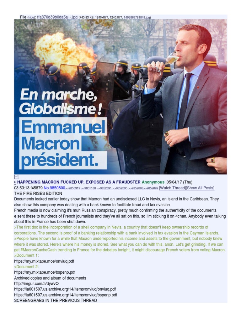 Emmanuel Macron Leaked Secret Business Documents PDF | PDF
