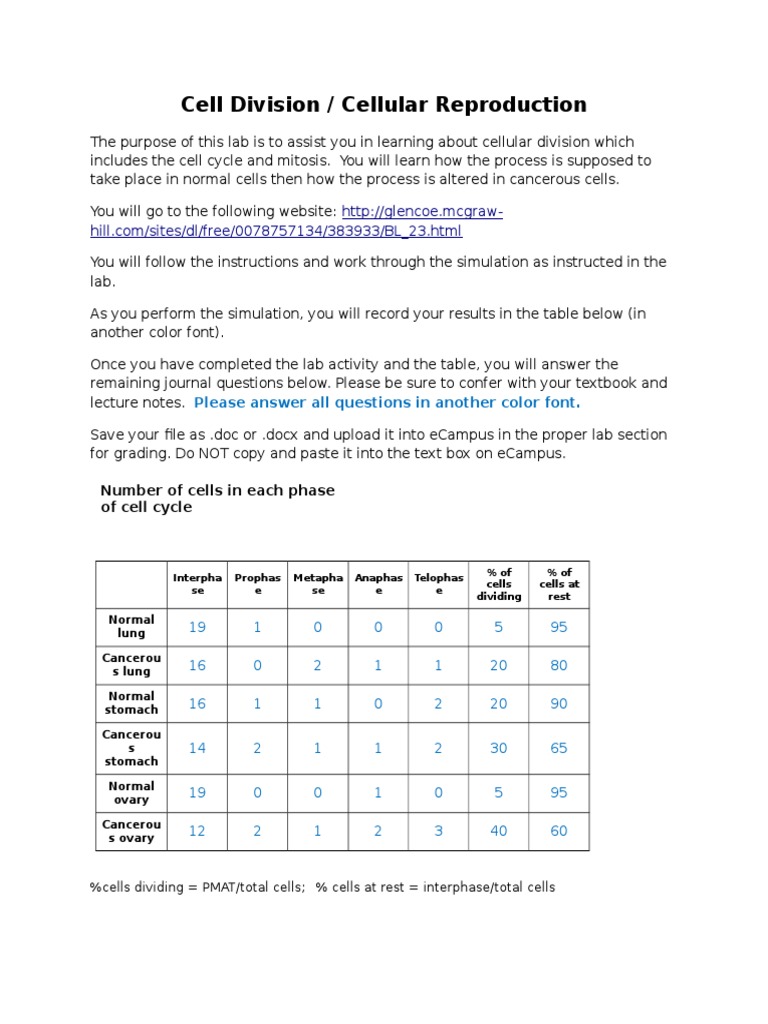 Cell Division Lab | Cell Cycle | Biological Processes