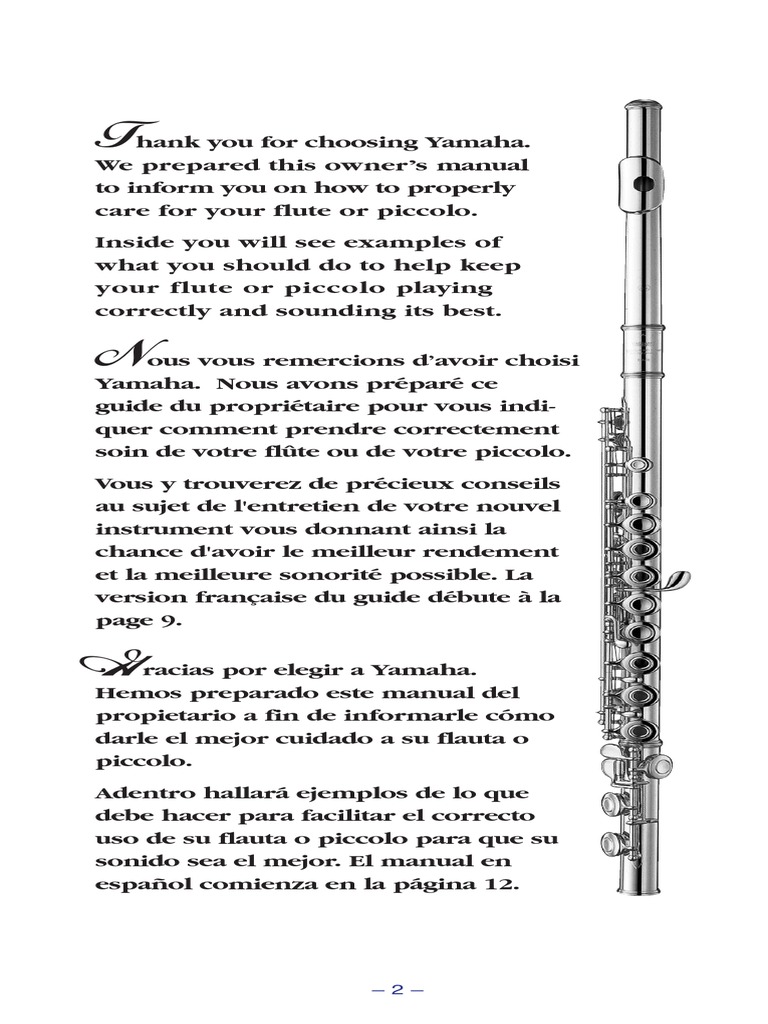 Instrument Care Flute | PDF | Flute | Nature