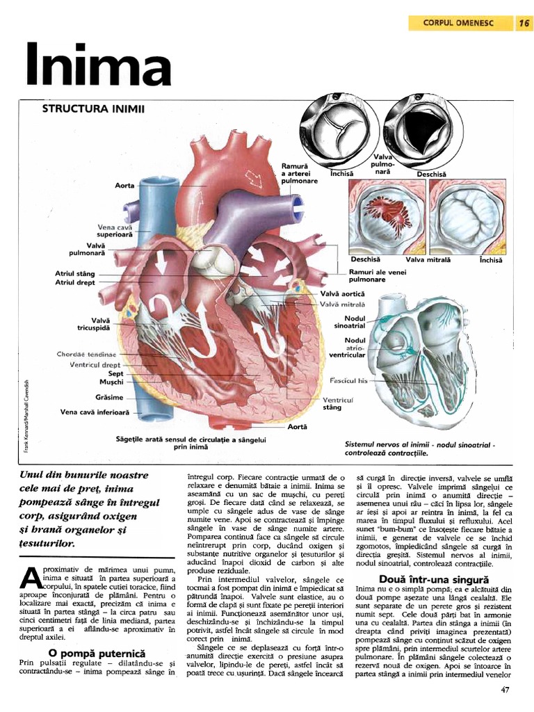 Inima.pdf