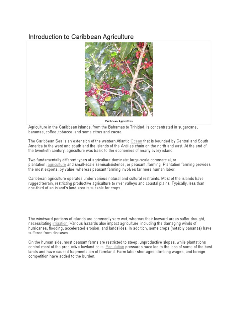 Overview of Caribbean Agriculture | PDF | Caribbean | Sugarcane