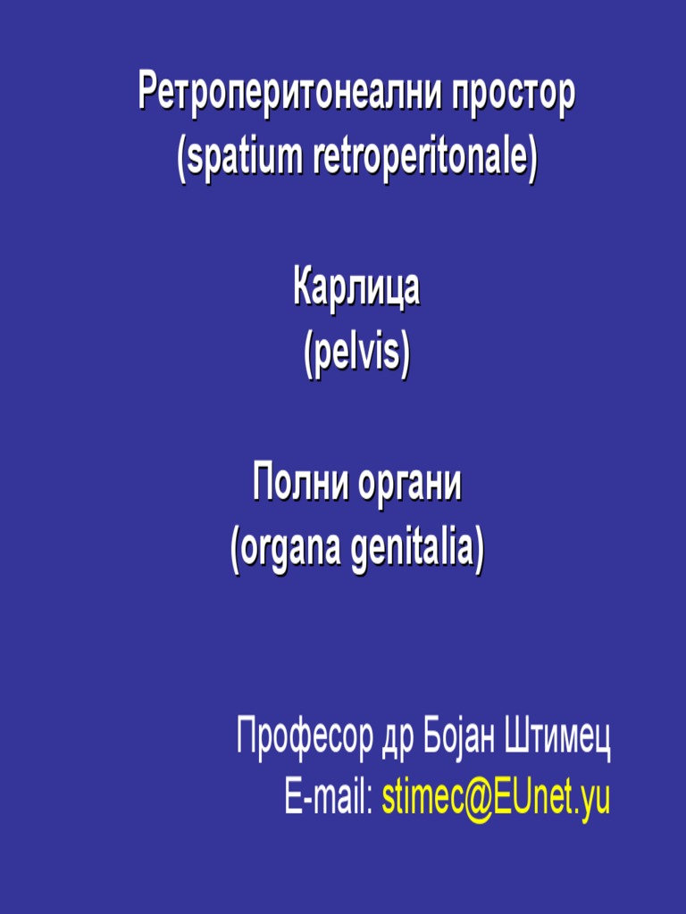 Retroperitonalni Prostor, Mala Karlica, Polni Organi | PDF
