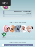 Ensayo Sulfato de Magnesio-Esquema Zuspan | PDF | Astrocito | Inflamación