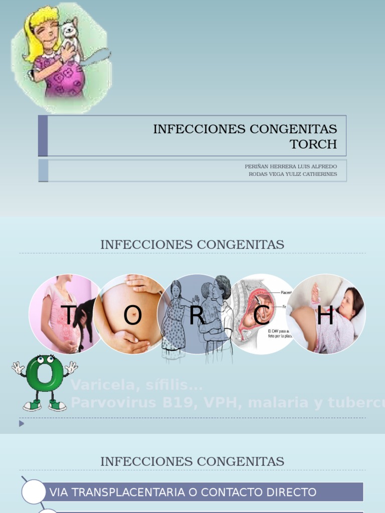 Infecciones Congenitas (TORCH) | PDF | Virus | Virología