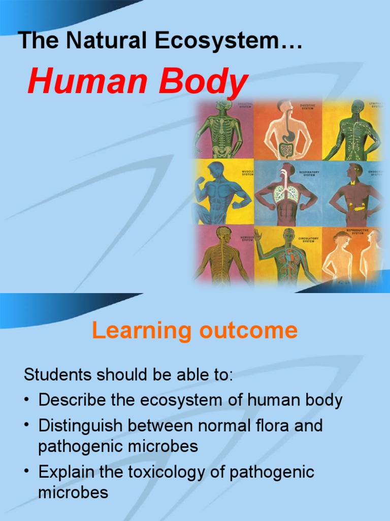 Topic 7 - Human Body Ecosystem | PDF | Lipopolysaccharide | Immune System
