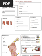 Skeletal System Worksheet1 | PDF | Arm | Shoulder