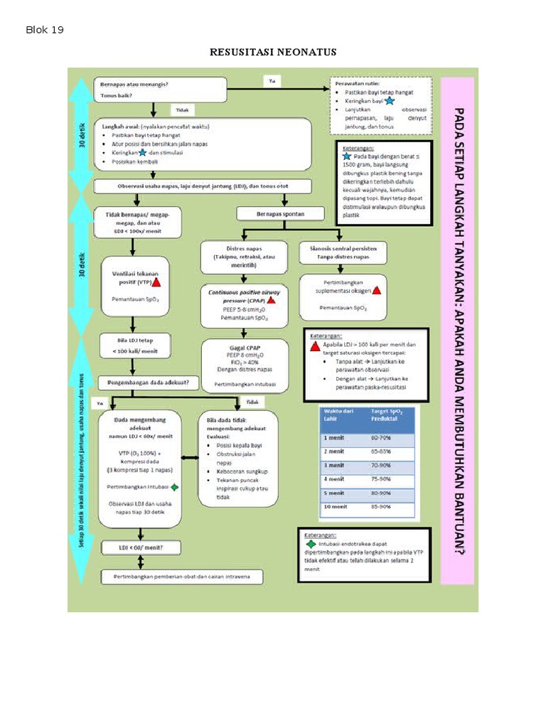 EMERGENCY (Resusitasi Neonatus) | PDF