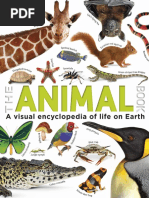 Sunbeam Activity Book | PDF