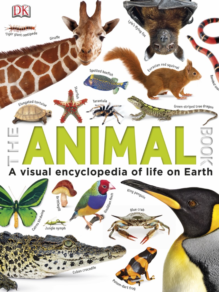 The Animal Book | PDF | Plankton | Sea