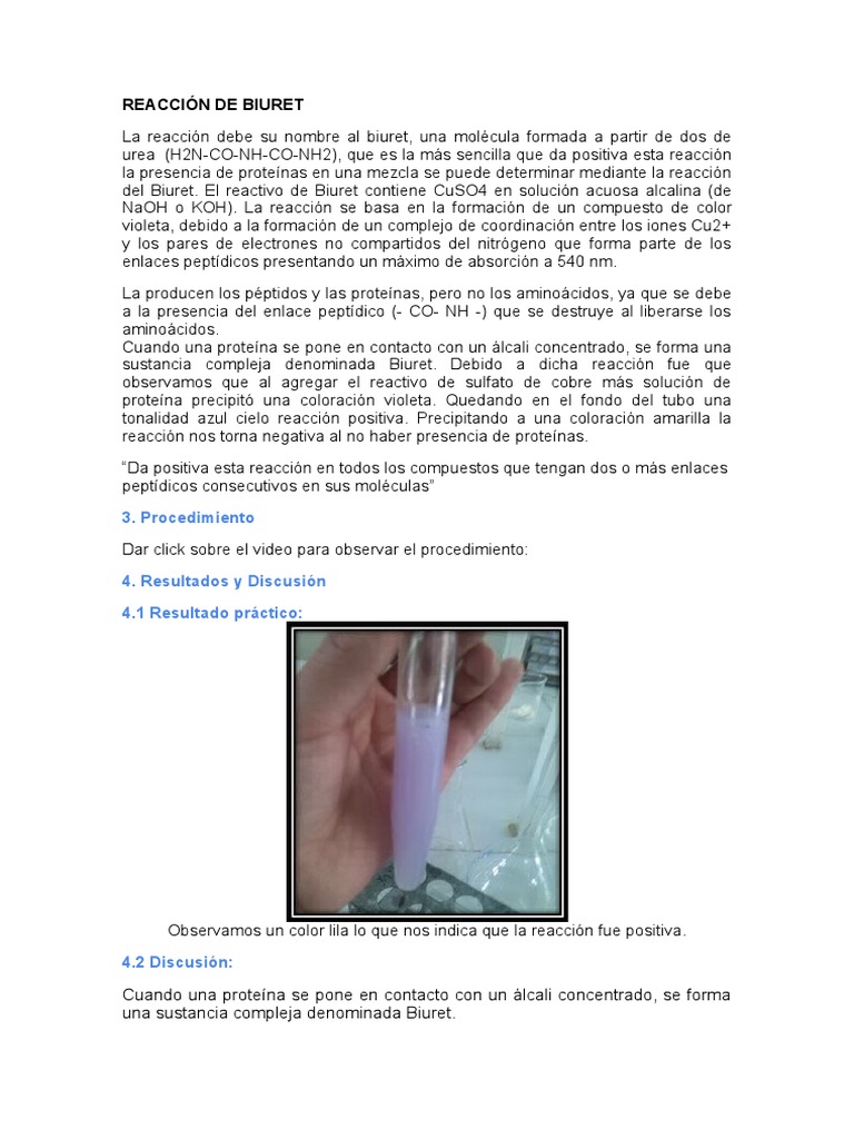 Identificación de Proteínas con Biuret | PDF | Proteínas | Péptido