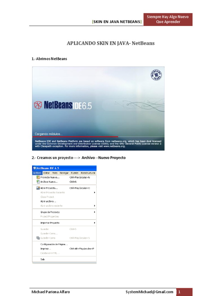 Aplicando Skin en Java Netbeans | PDF | Frijoles Netos | Aplicaciones y software