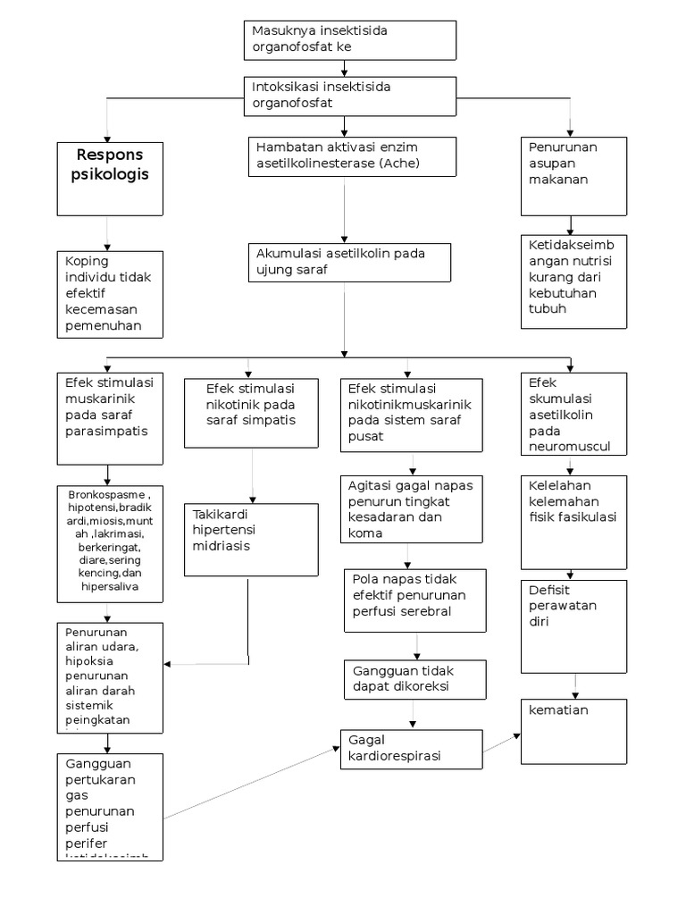 Dampak Intoksikasi Insektisida Organofosfat terhadap Kesehatan Manusia ...