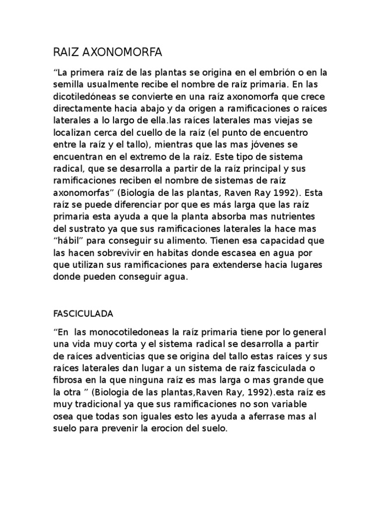 Raíz Axonomorfa: Características y Función | PDF | Raíz | Tallo de la ...