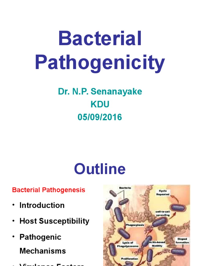 Lect 5 Bacterial Pathogenicity | PDF | Lipopolysaccharide | Immune System