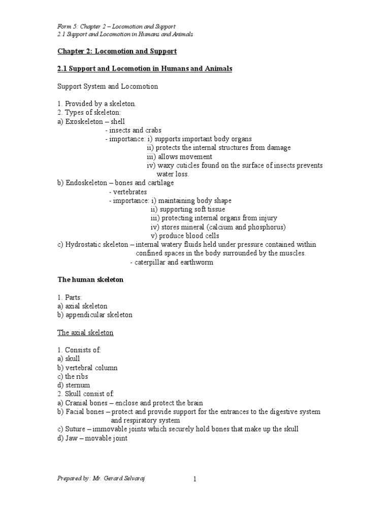 Locomotion and Support in Biology | PDF | Vertebra | Skeleton
