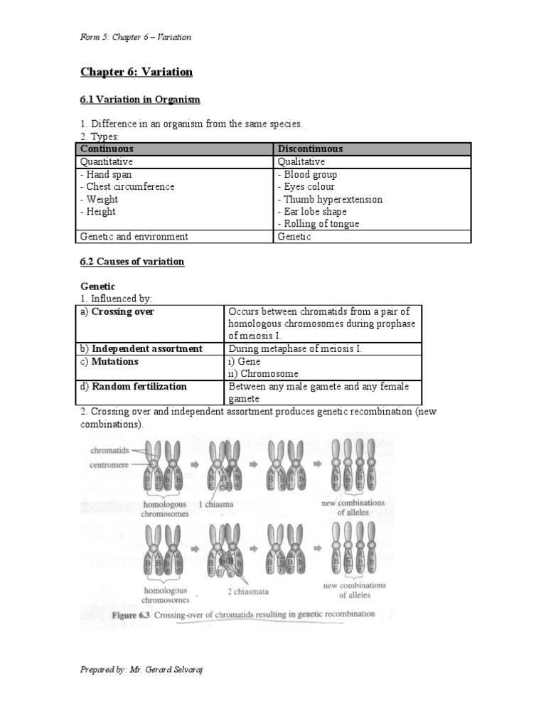 Variation in Organisms: Chapter 6 | PDF | Genetics | Meiosis