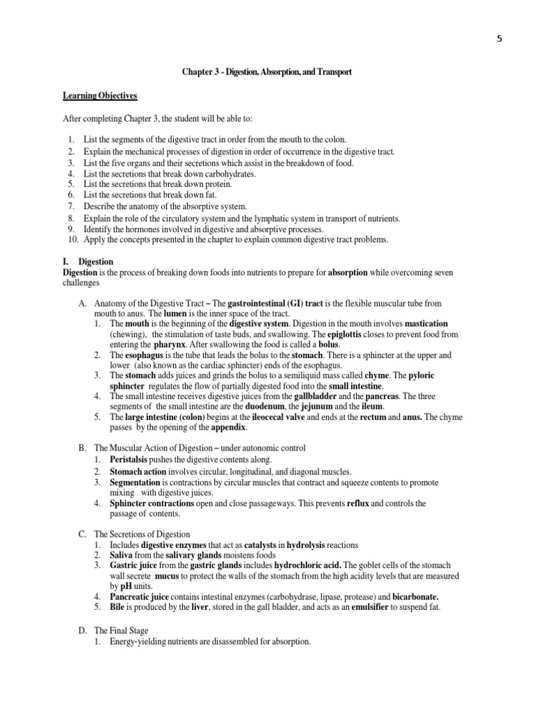 Digestion and Absorption Study Guide | PDF | Human Digestive System ...