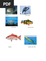 Chart For Saltwater With Tagalog Words | PDF | Language Arts ...