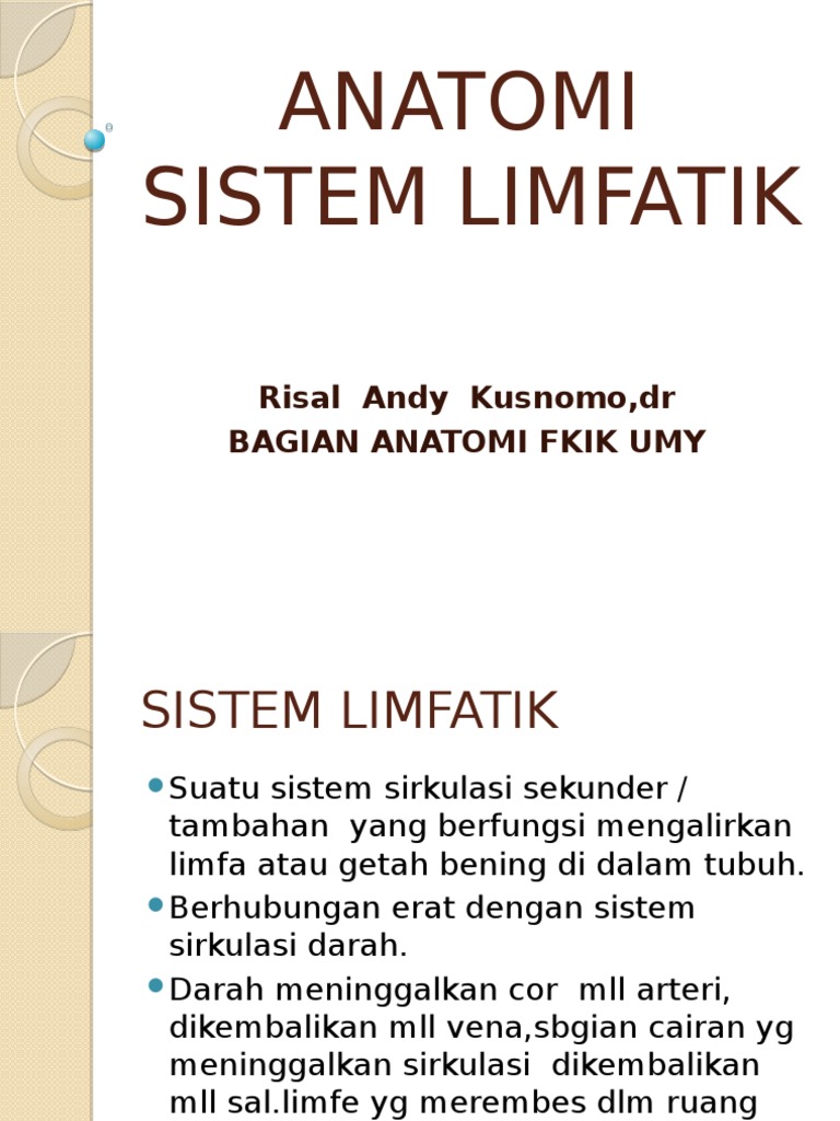 Anatomi Sistem Limfatik | PDF