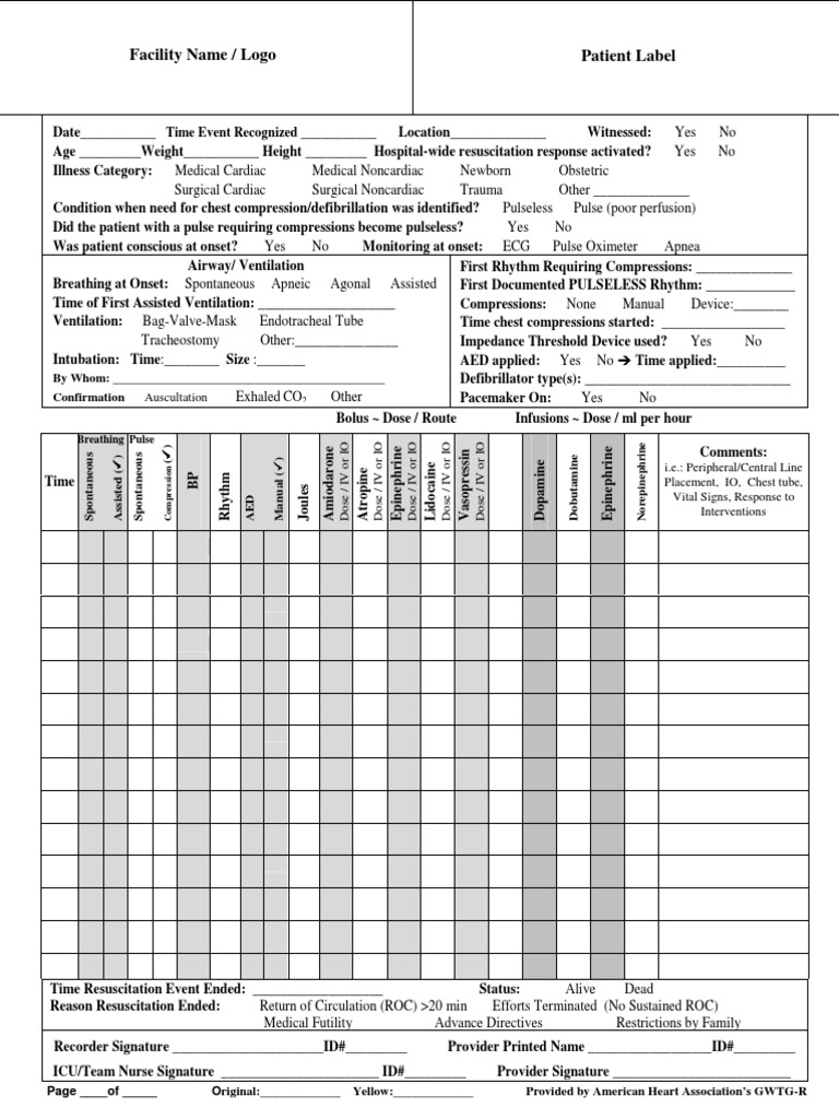 Form Dokumentasi Resusitasi | PDF | Cardiopulmonary Resuscitation ...