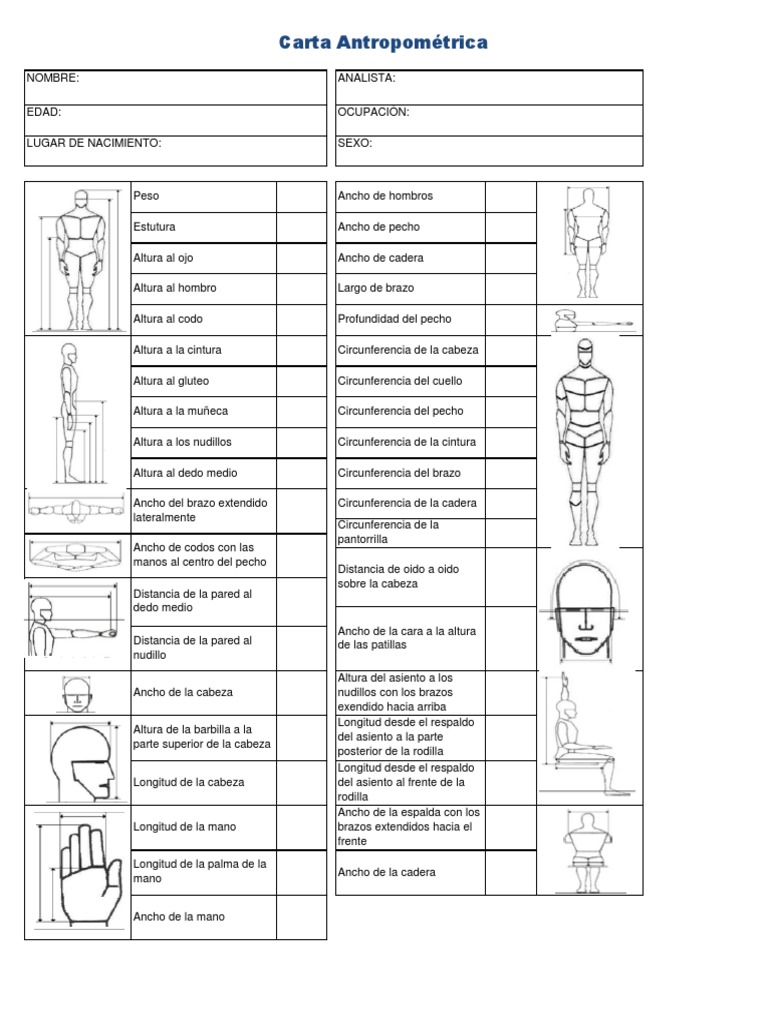 Carta Antropometrica | Mano | Extremidades (anatomía)