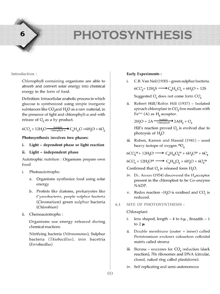 Photosynthesis PDF | PDF | Photochemistry | Photosynthesis