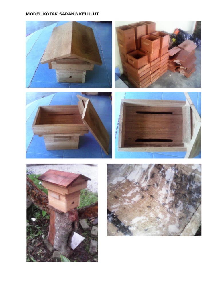 Model Kotak Sarang Kelulut | PDF