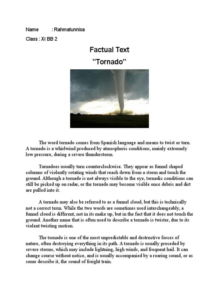 Factual Text | PDF