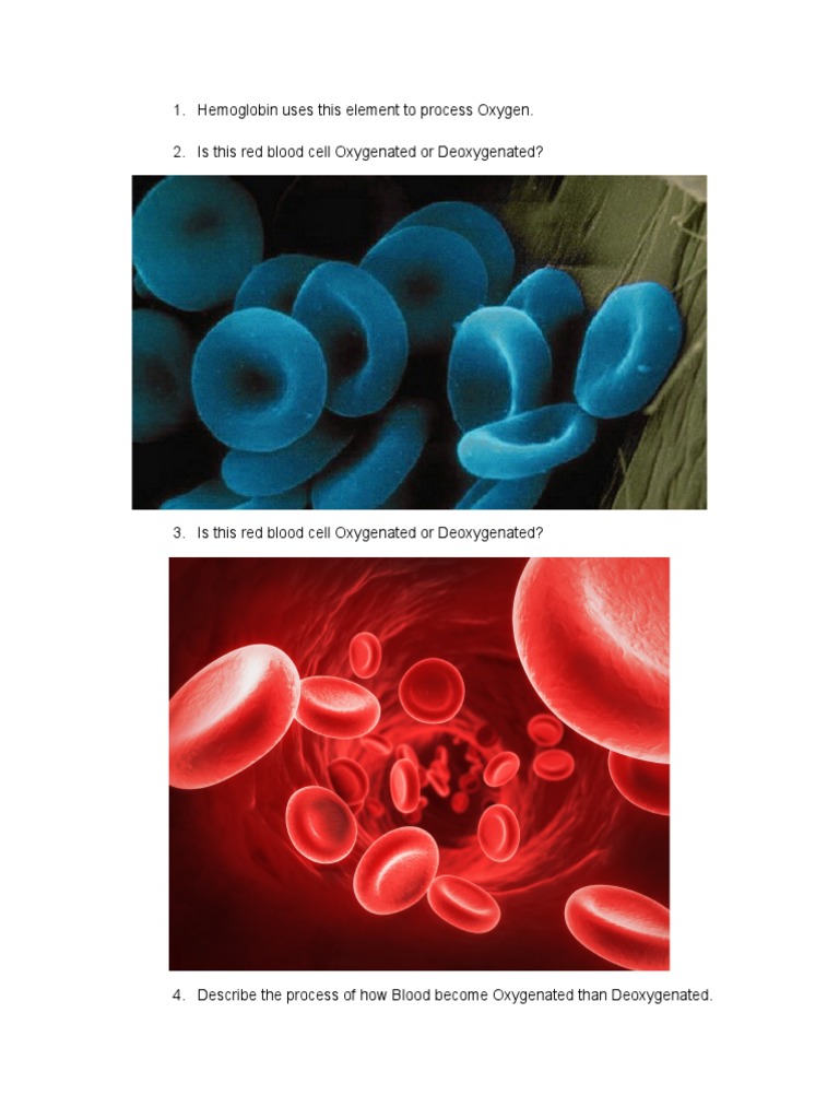 Blood Oxygenation Basics | PDF