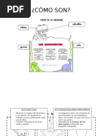 Actividades Pokémon Parte 1 | PDF | Color