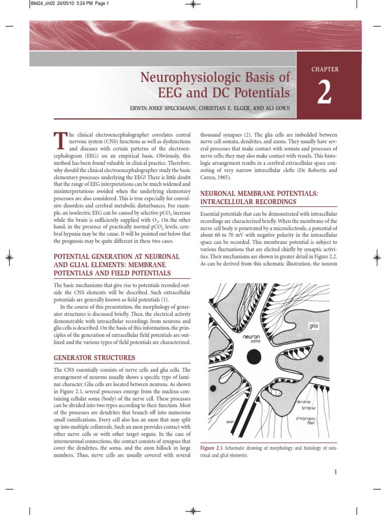 Neurophysiologic Basis of EEG and DC Potentials: Neuronal Membrane ...
