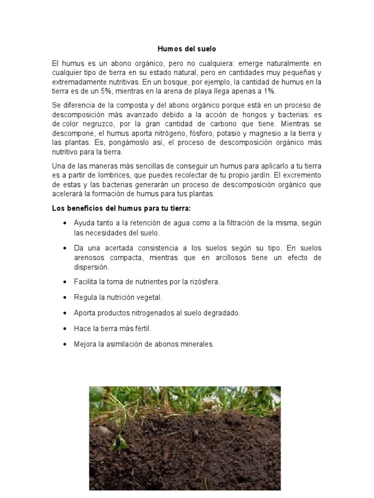 Importancia y beneficios del humus en el suelo | PDF | Suelo ...