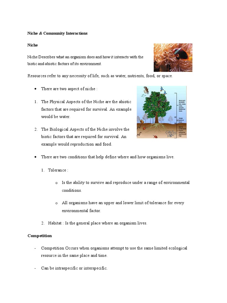 Niche & Community Interactions Niche | PDF | Ecological Niche | Systems ...