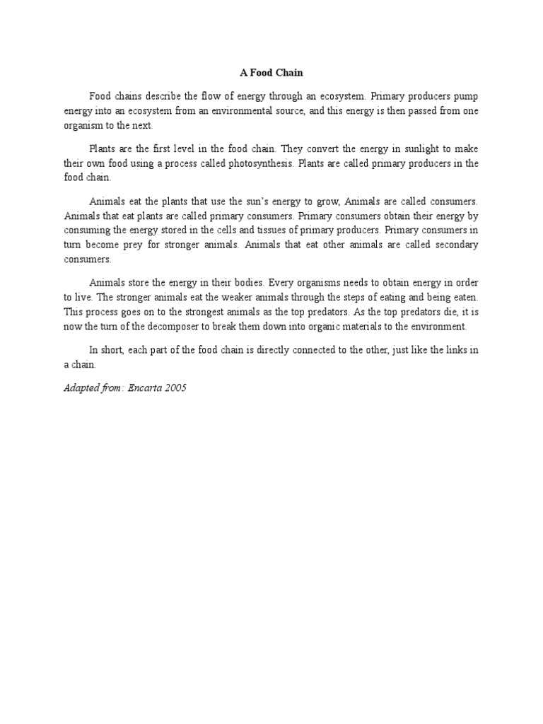 A Food Chain, Text and Exercise | PDF | Herbivore | Predation