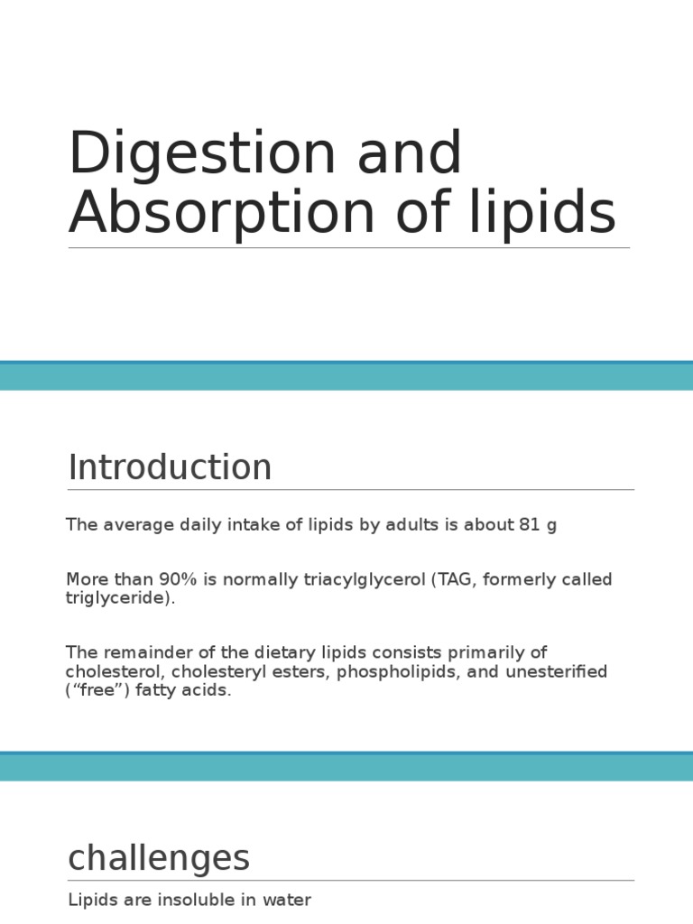 Lipid Digestion and Absorption Overview | PDF | Lipoprotein | Bile